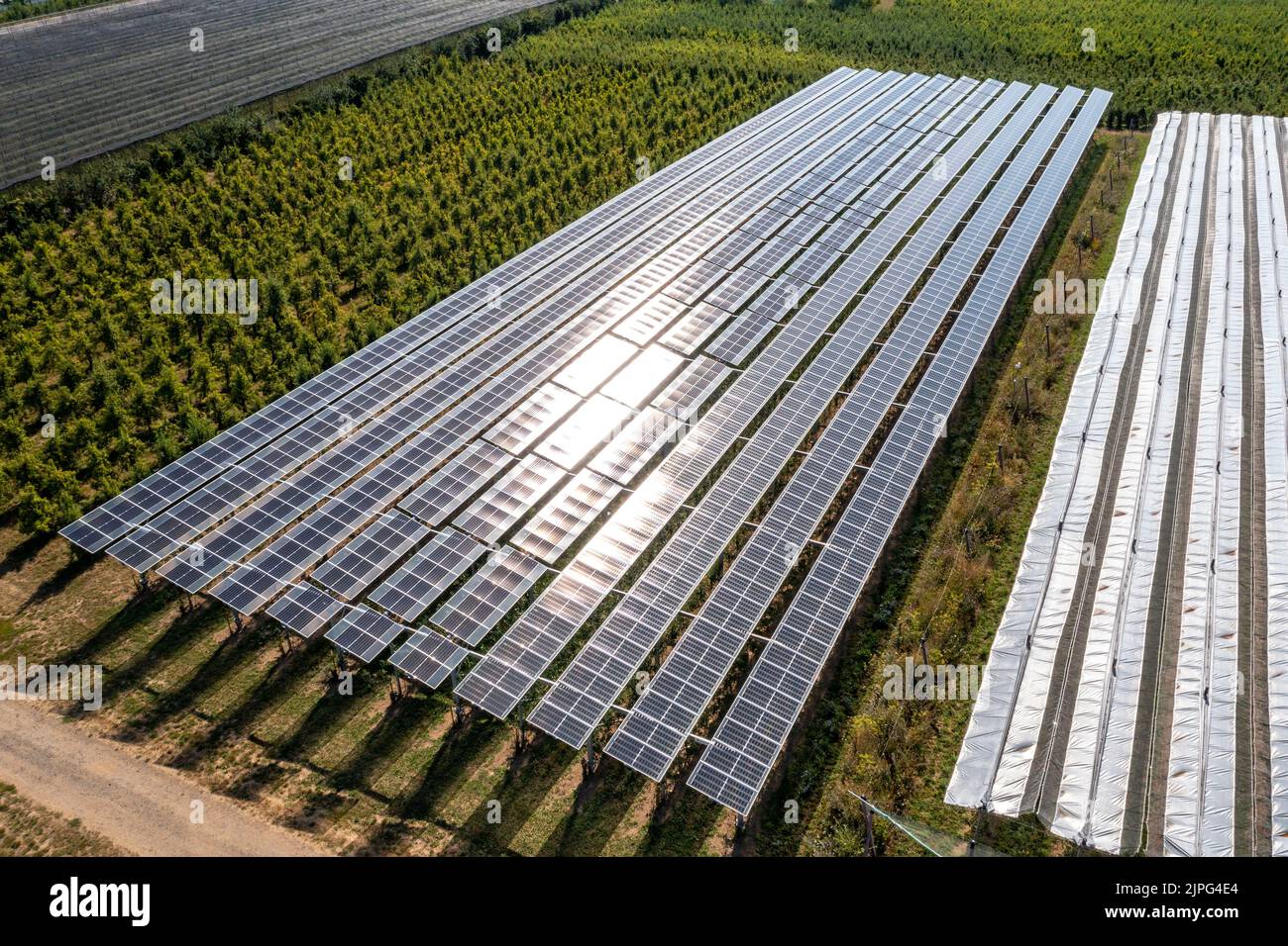 Agri-photovoltaic test facility, an apple orchard was covered with two ...