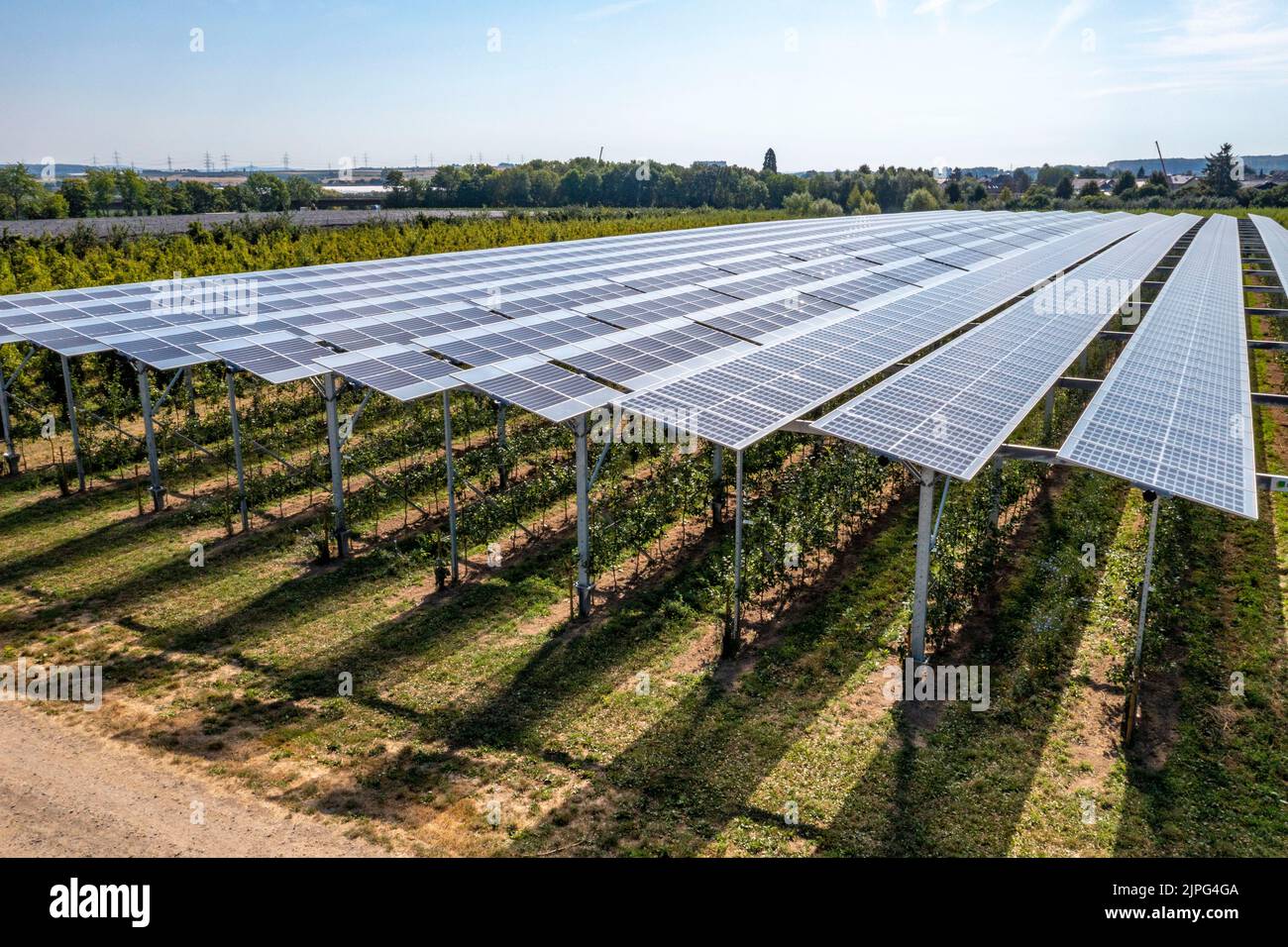 Agri-photovoltaic test facility, an apple orchard was covered with two ...