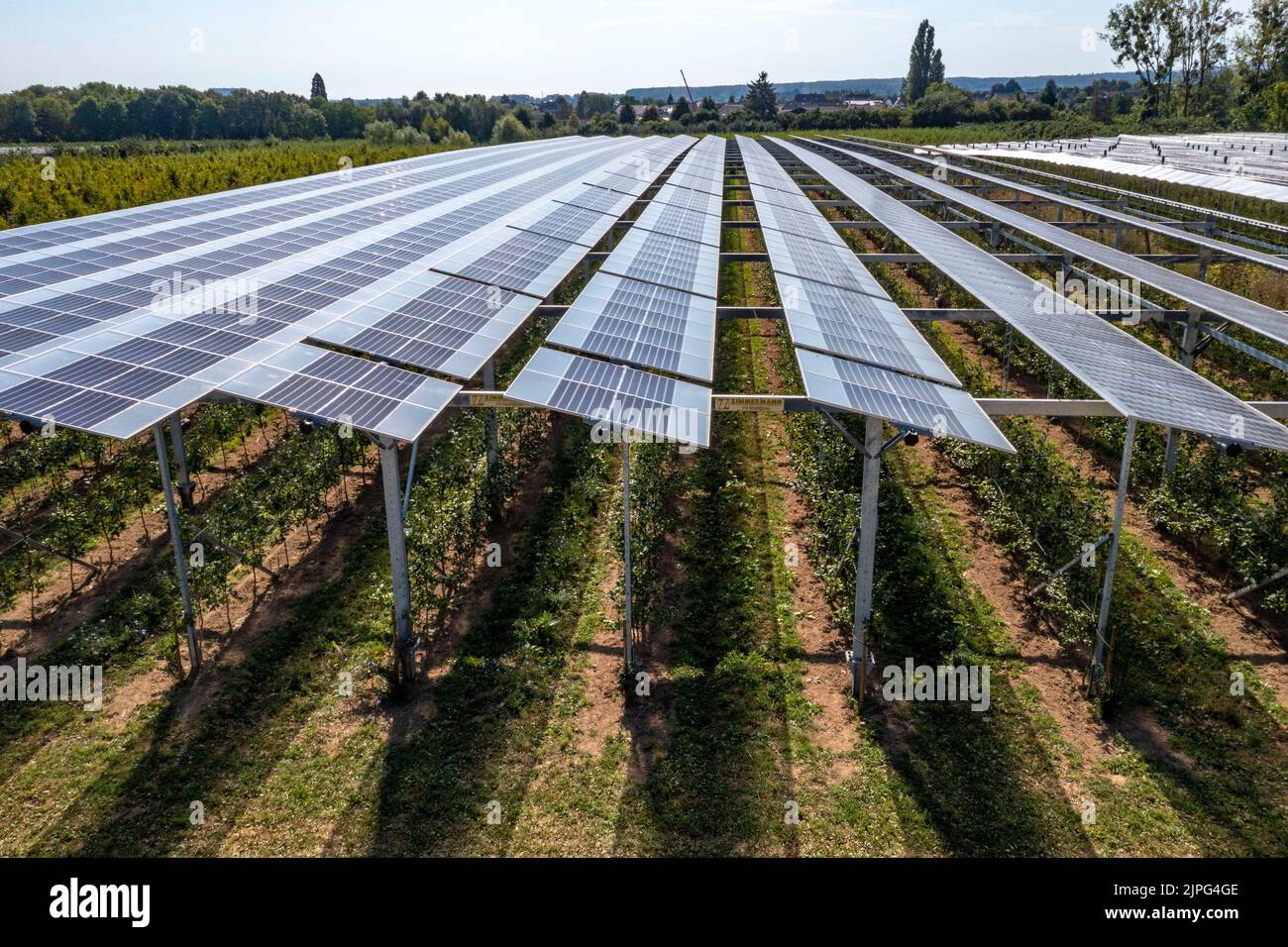 Agri-photovoltaic test facility, an apple orchard was covered with two ...