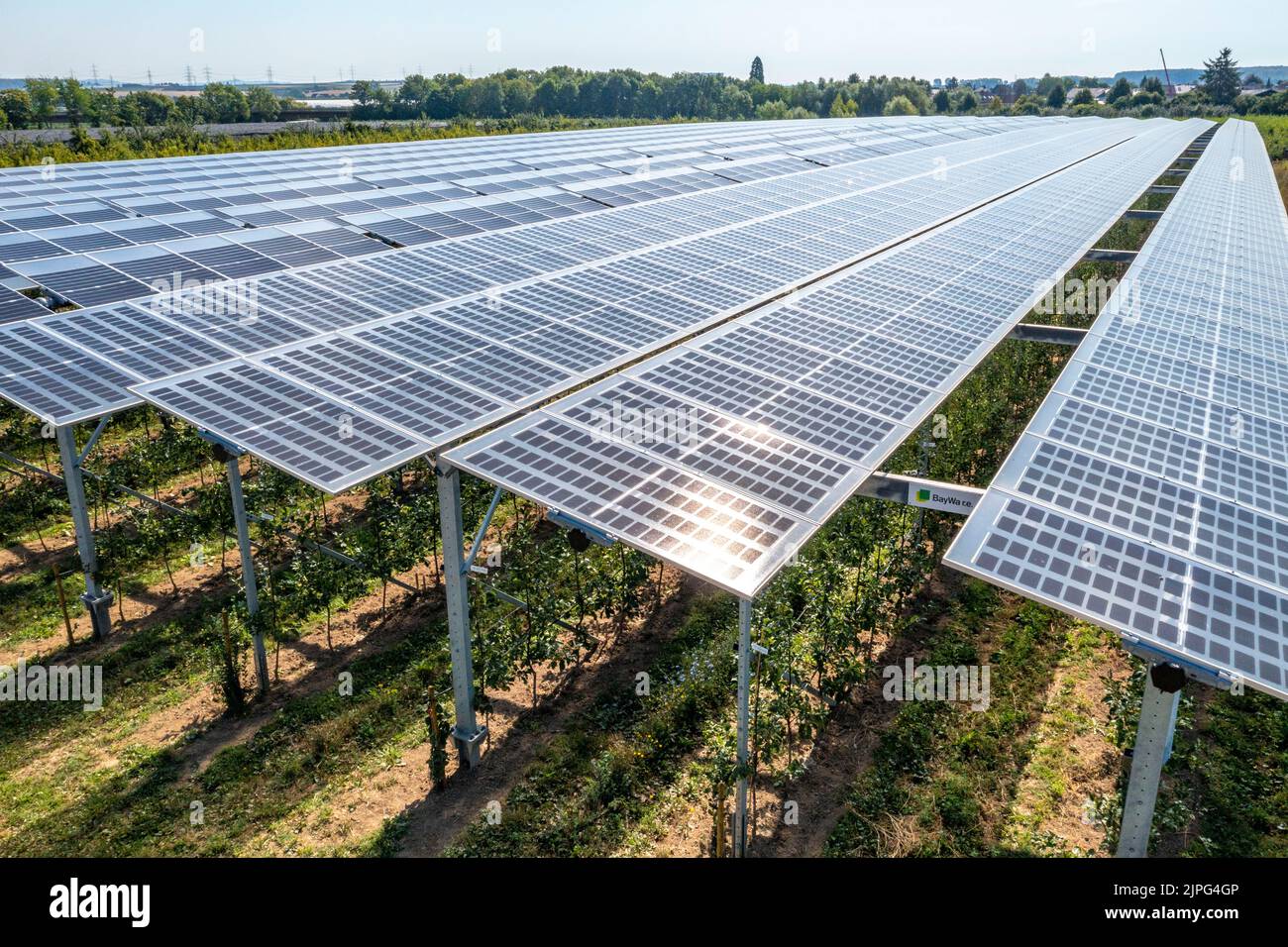 Agri pv fruit growing plant hi-res stock photography and images - Alamy