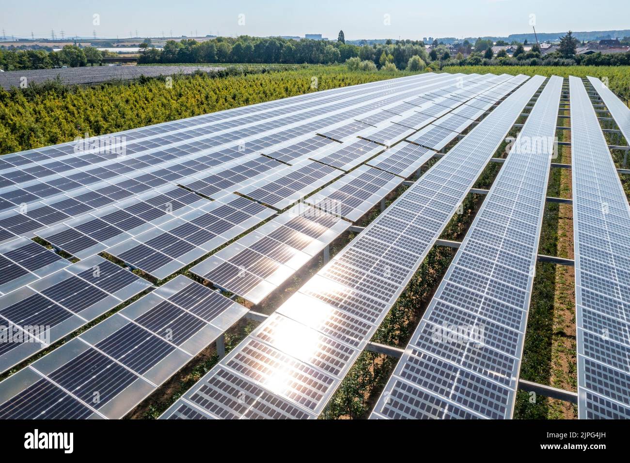 Agri-photovoltaic test facility, an apple orchard was covered with two ...