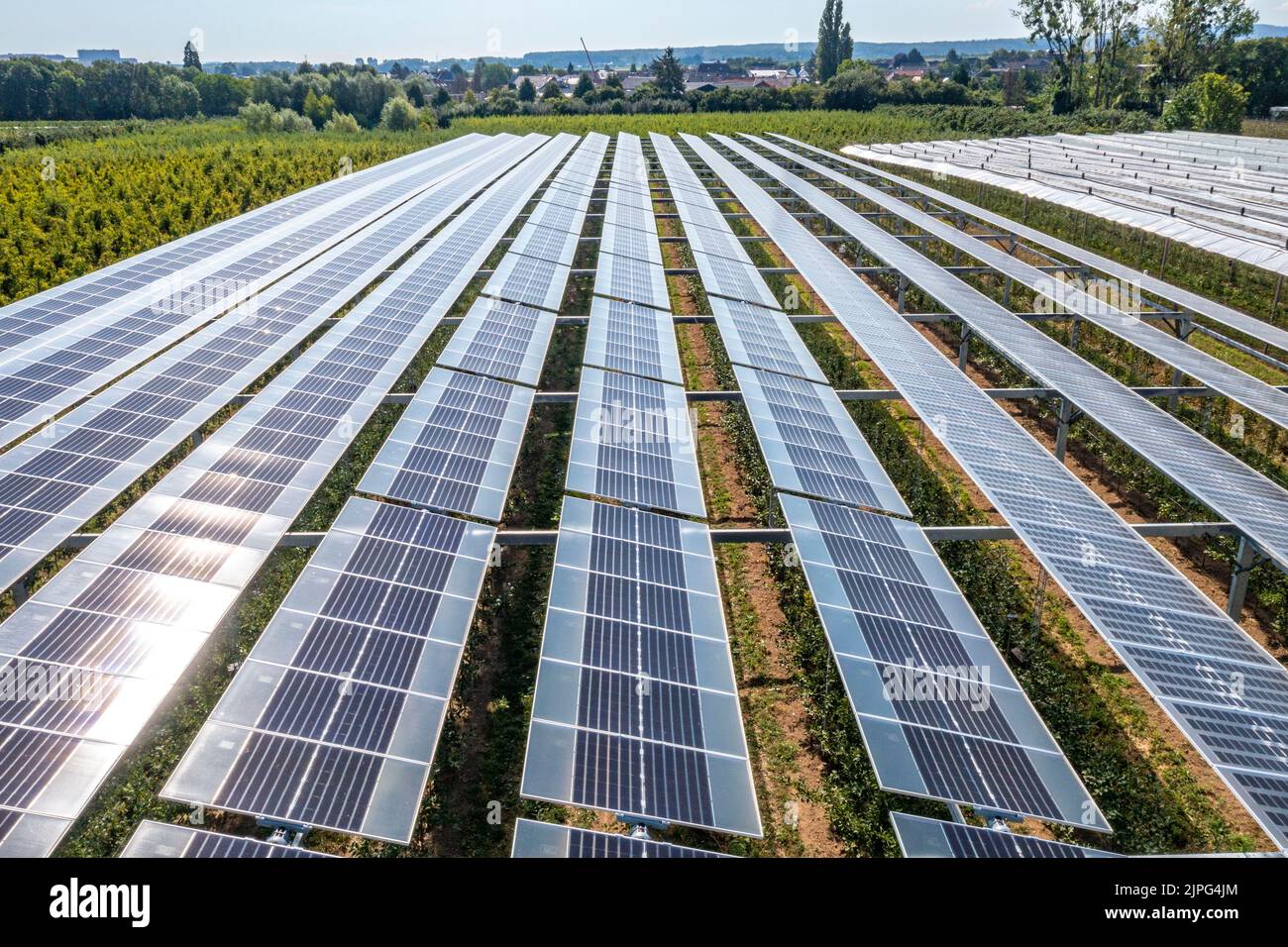 Agri-photovoltaic test facility, an apple orchard was covered with two ...