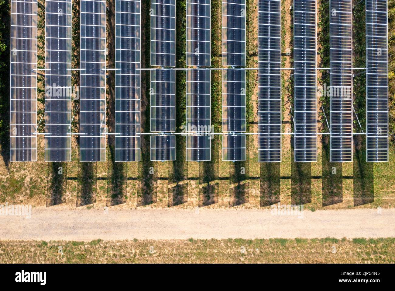 Agri-photovoltaic test facility, an apple orchard was covered with two ...