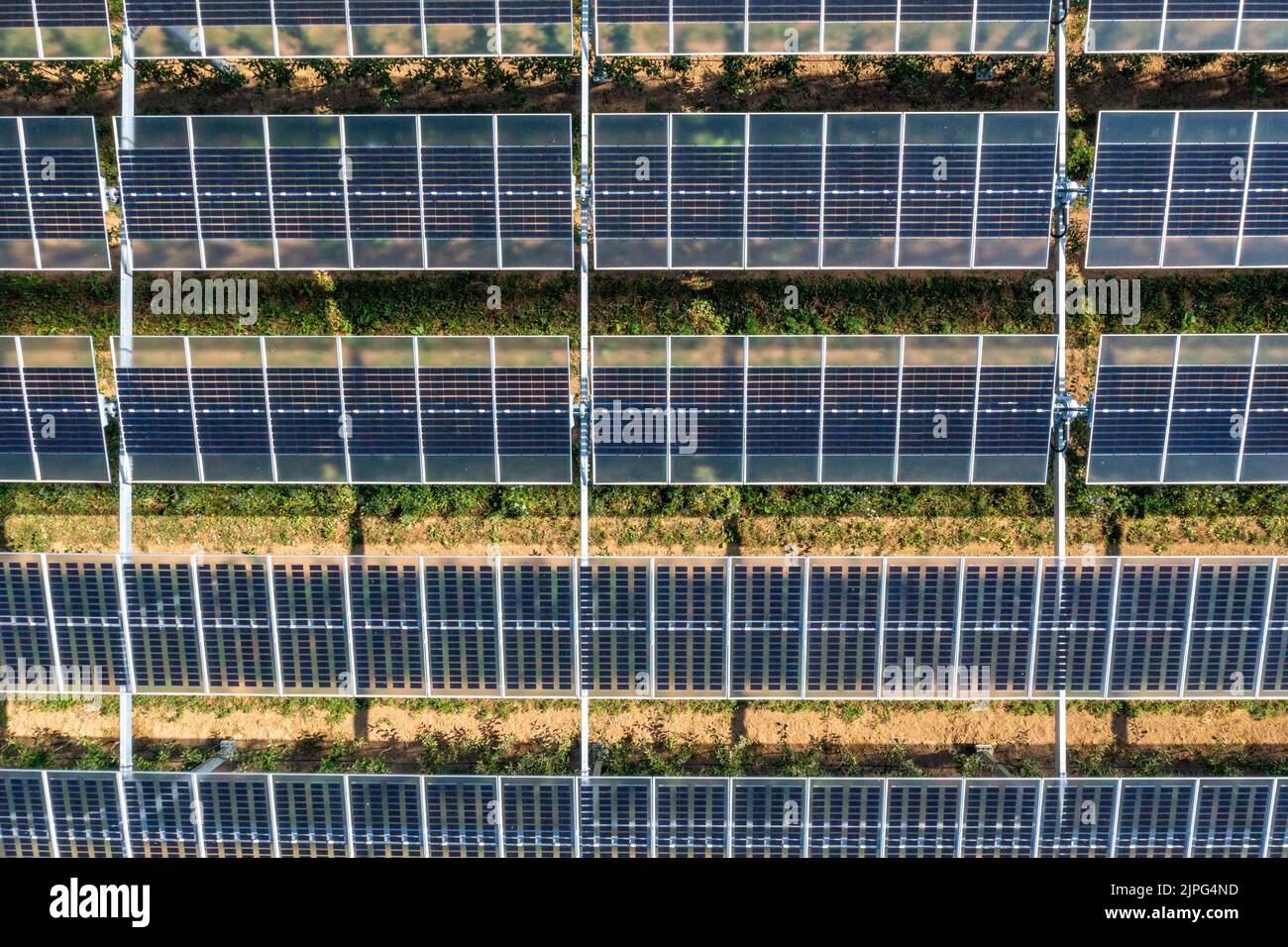 Agri-photovoltaic test facility, an apple orchard was covered with two ...