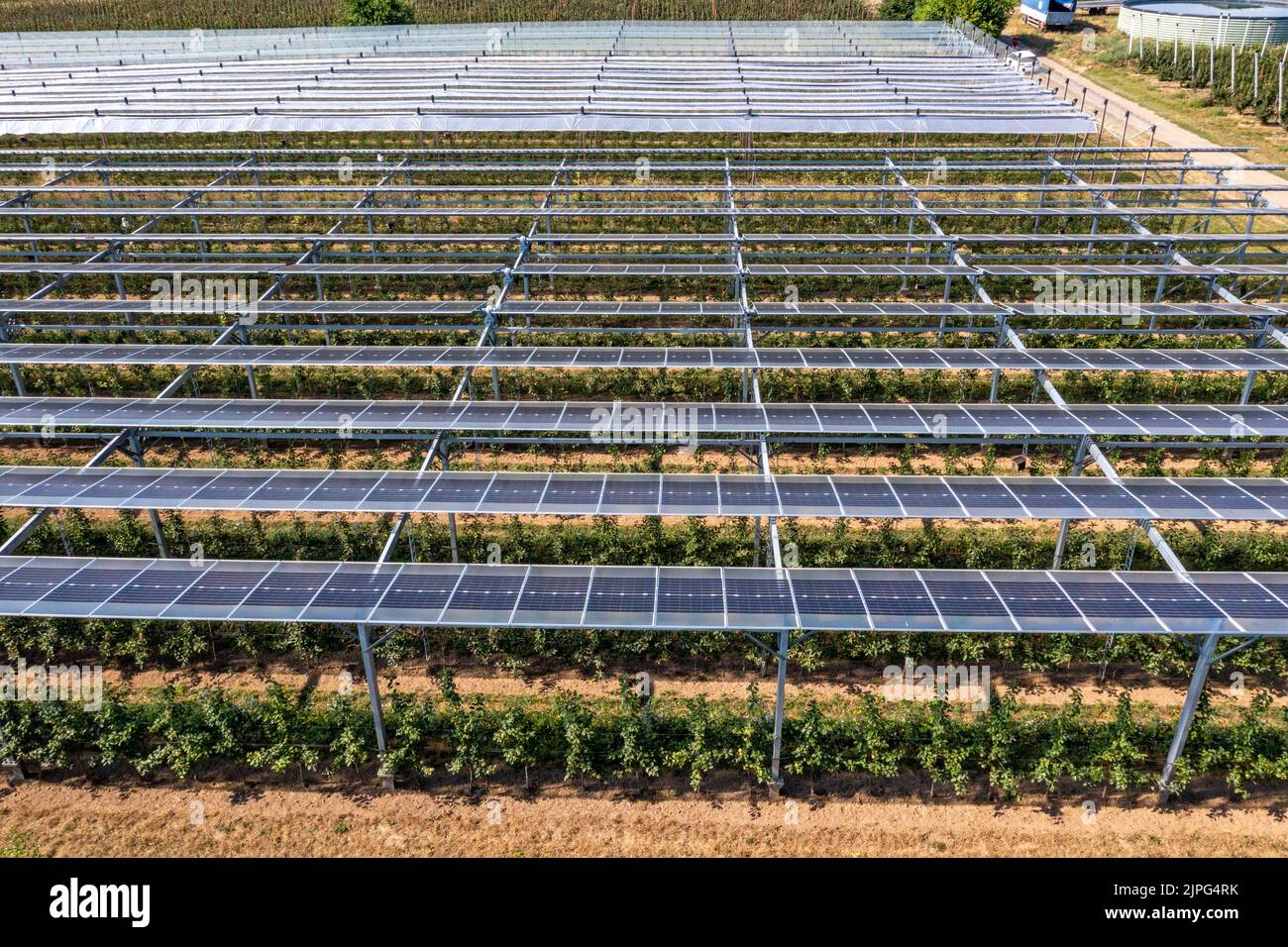 Agri-photovoltaic test facility, an apple orchard was covered with two ...
