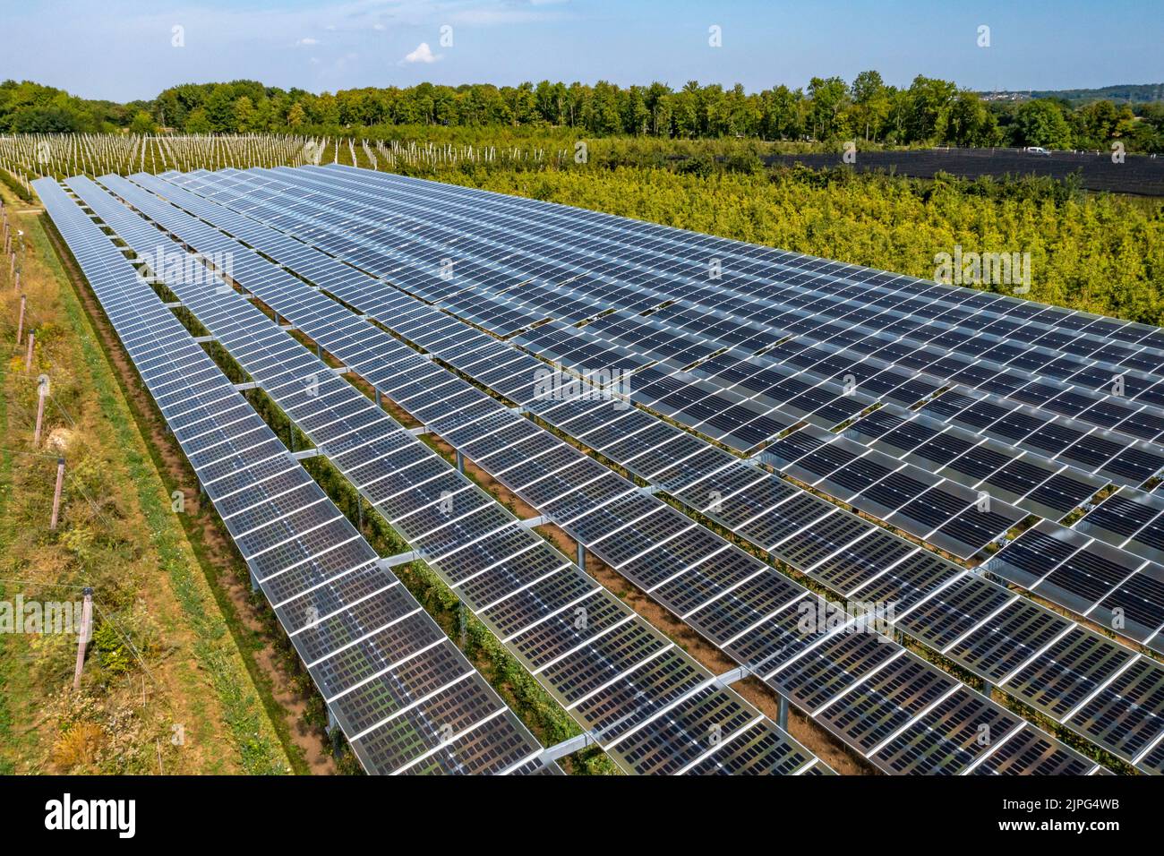 Agri-photovoltaic test facility, an apple orchard was covered with two ...