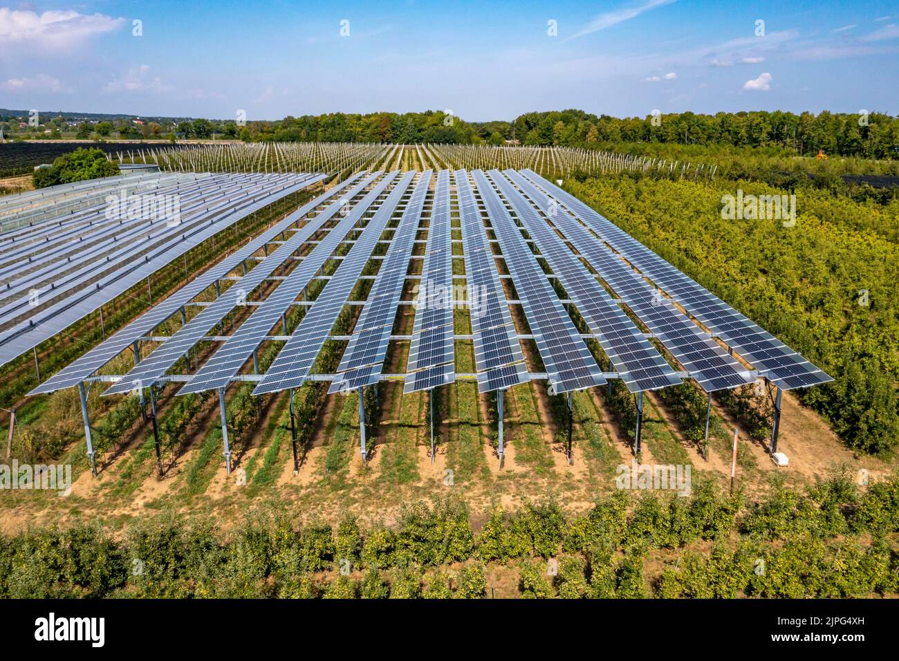 Agri-photovoltaic test facility, an apple orchard was covered with two ...