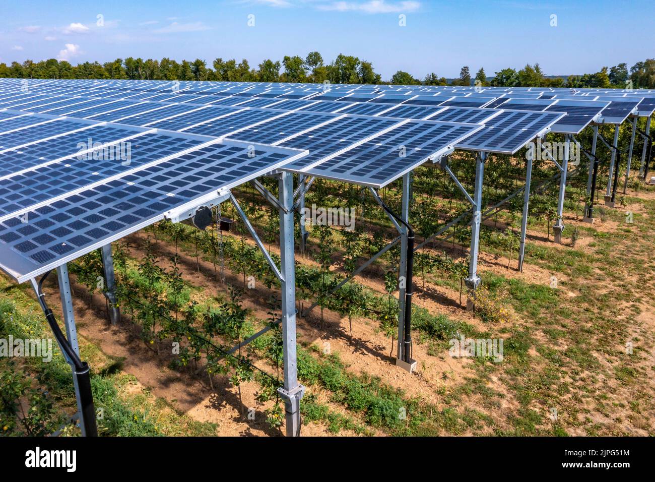 Agri-photovoltaic test facility, an apple orchard was covered with two ...