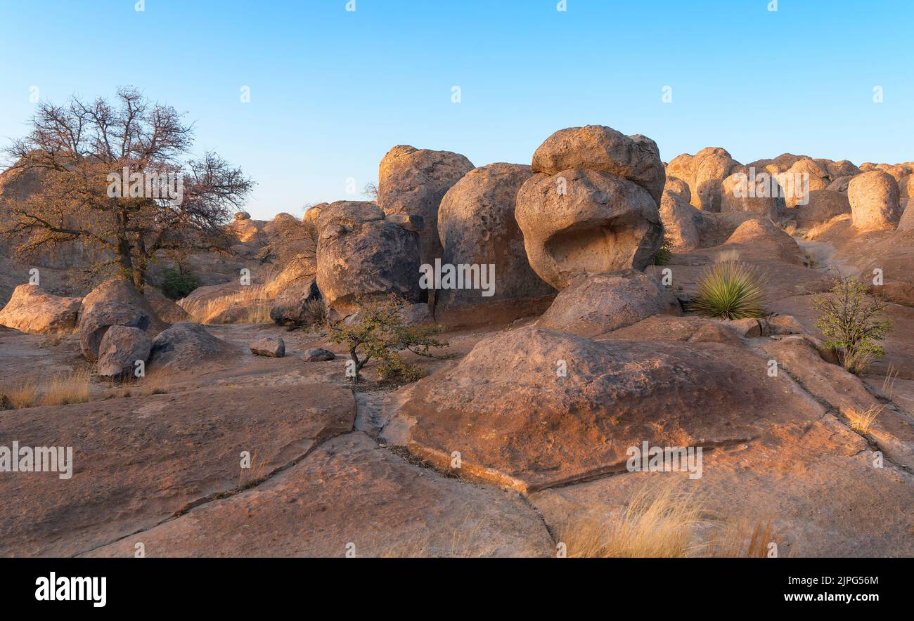 City of Rocks State Park at Sunset, New Mexico, USA Stock Photo - Alamy