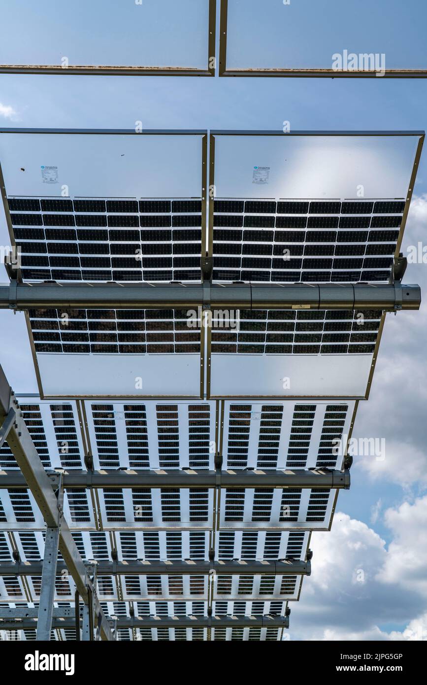 Agri-photovoltaic test facility, an apple orchard was covered with two ...