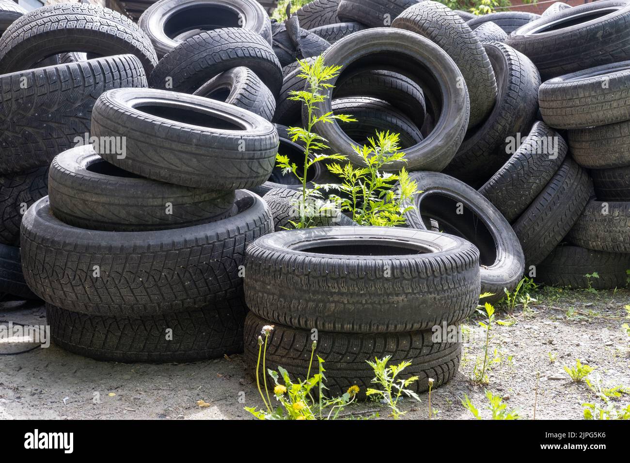 Old used tires of cars and trucks are piled up and stored for recycling ...