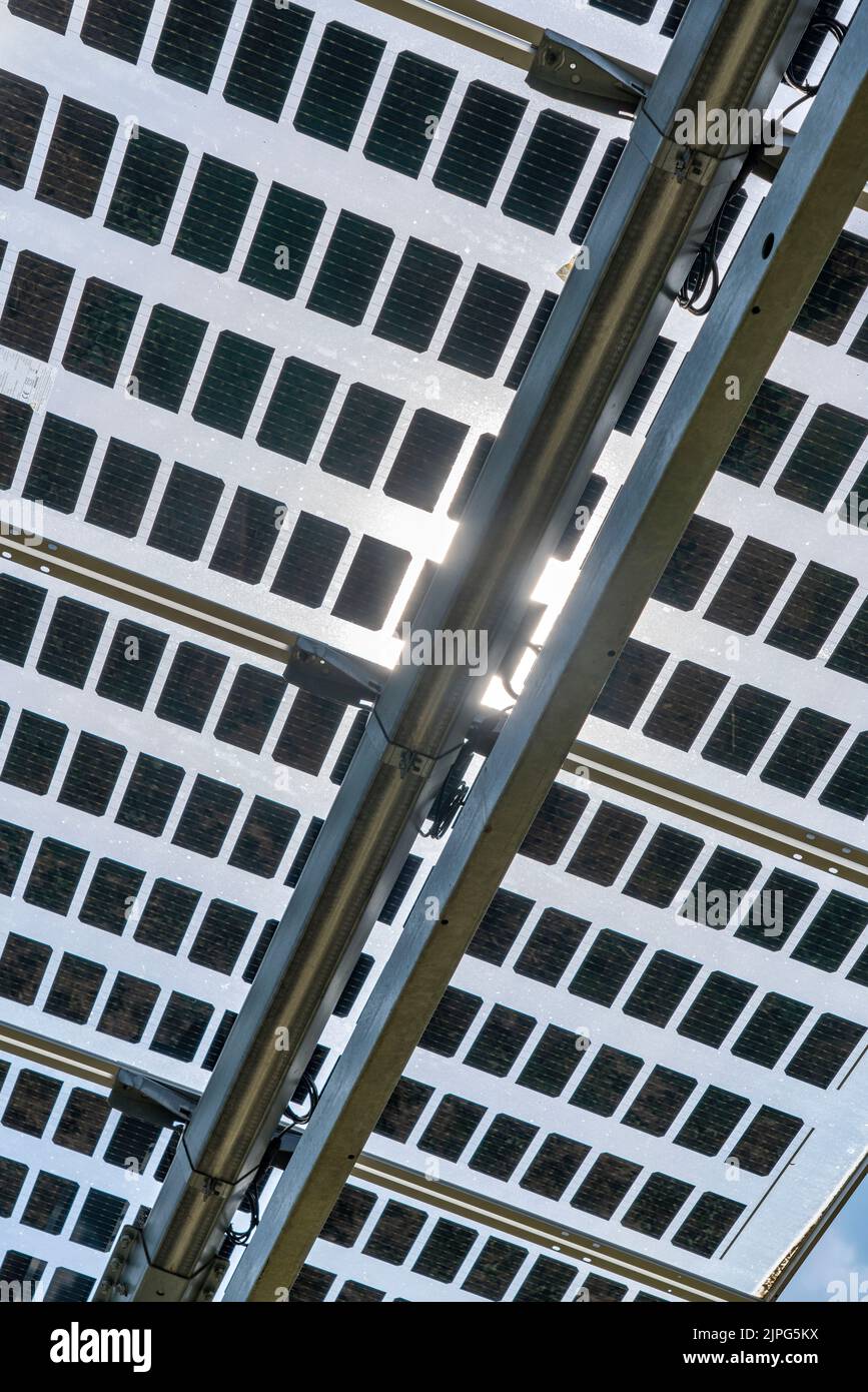 Agri-photovoltaic test facility, an apple orchard was covered with two ...
