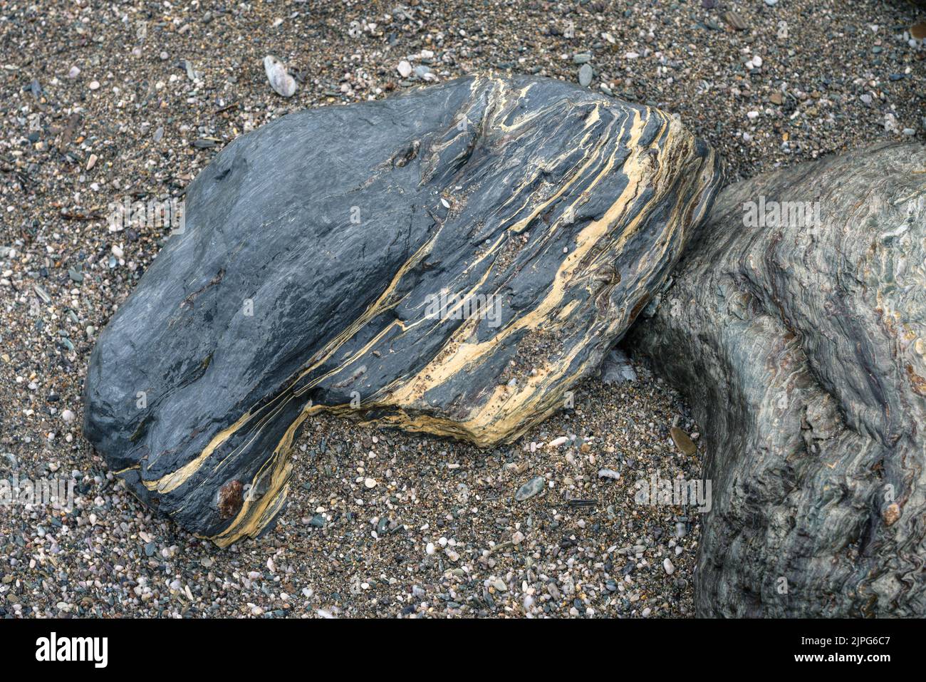 Slate stone with fine veins of golden pyrite on a beach under the Loiba ...