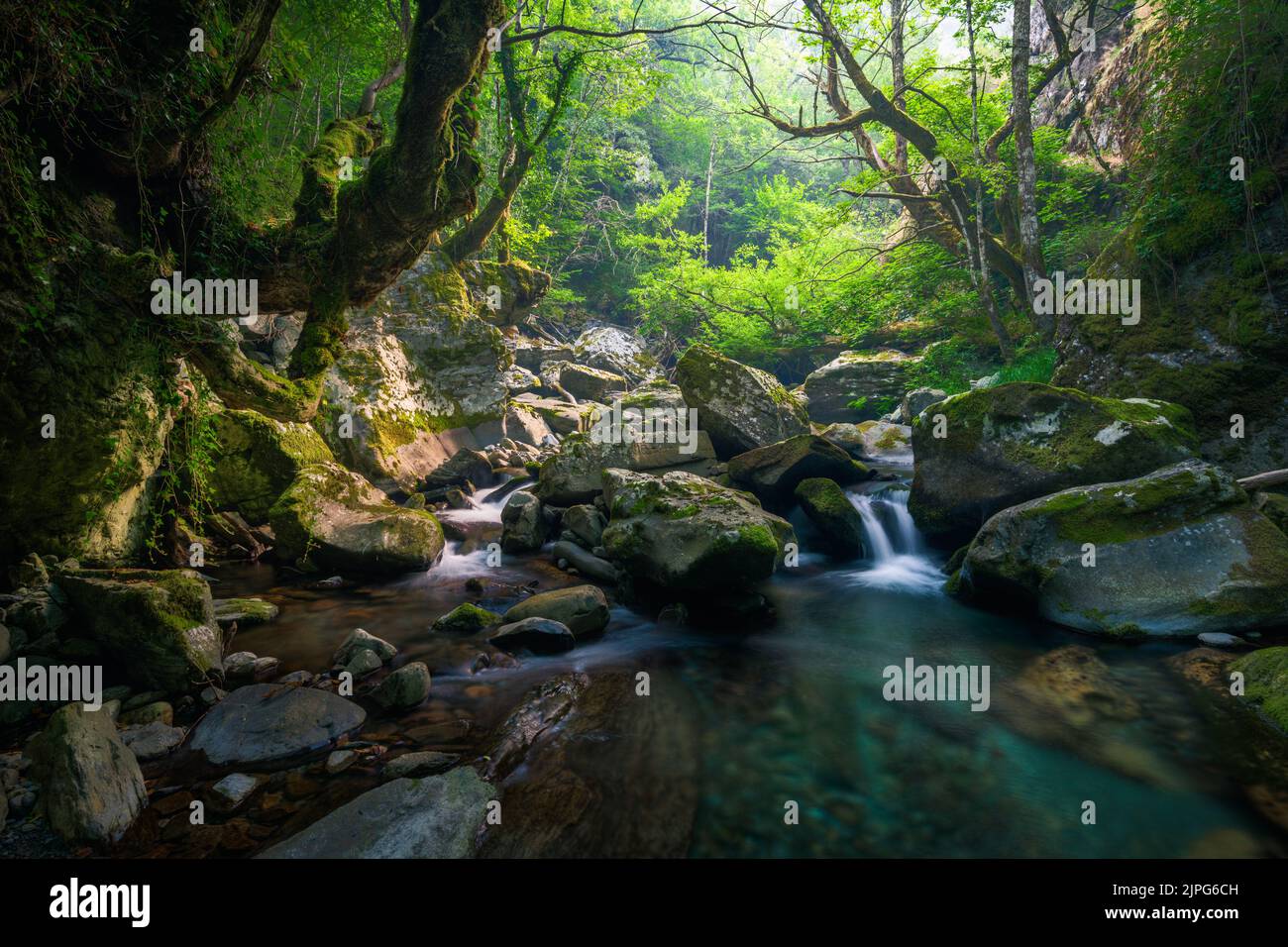 Small waterfalls and pools of turquoise waters next to old oak trees in ...