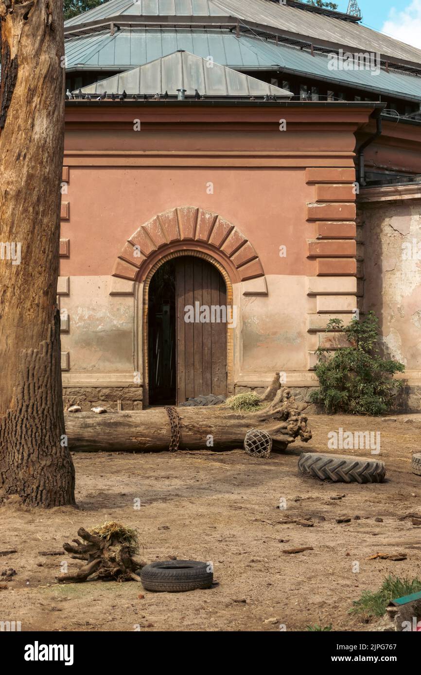 Elephant isolated in the zoo habitat Stock Photo - Alamy