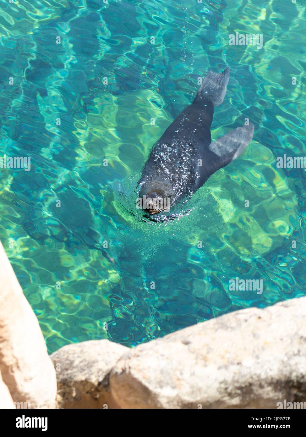 Zoo aquarium hi-res stock photography and images - Alamy
