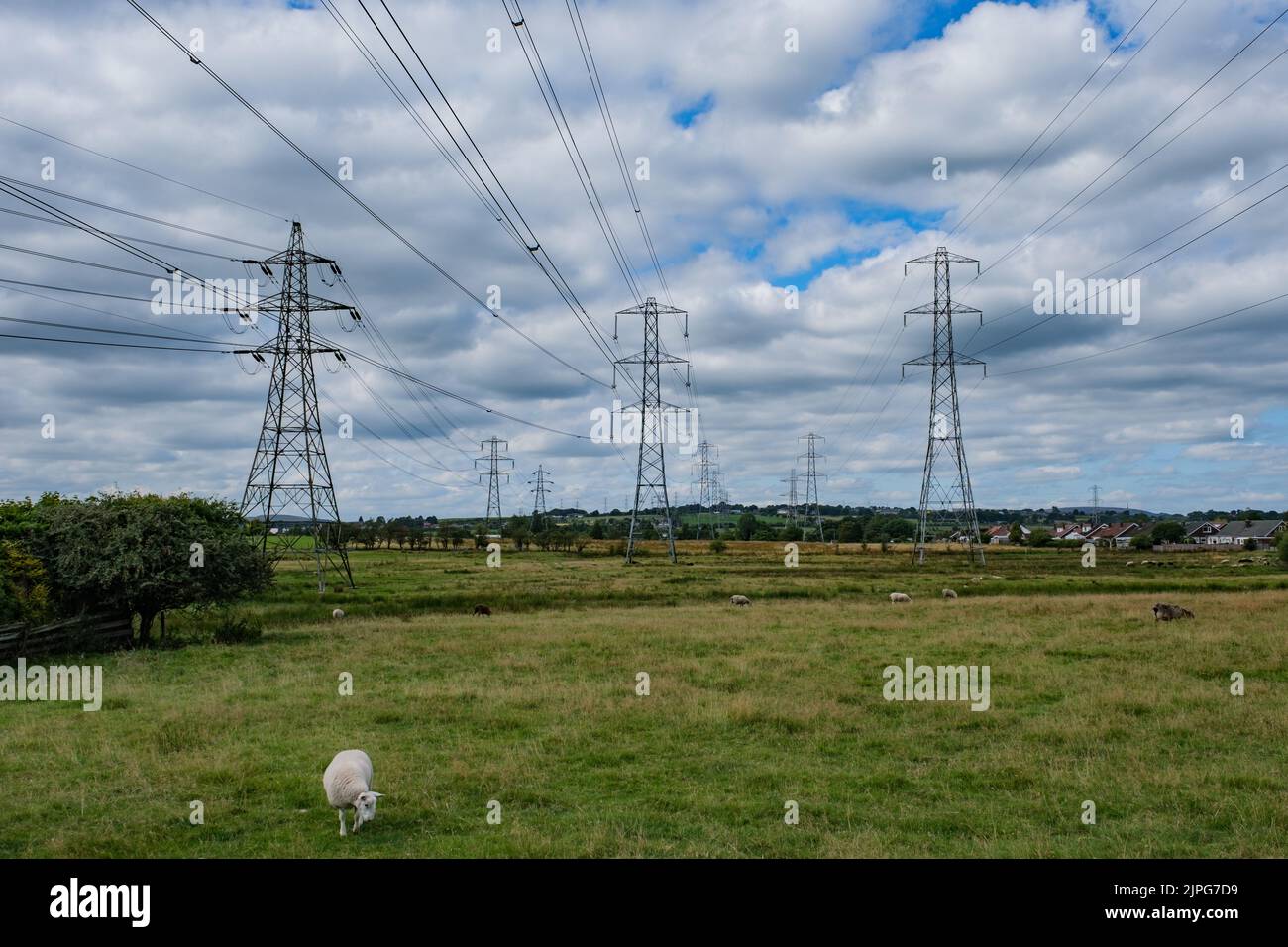 Pylon Lines spanning the countryside in North West England Stock Photo ...