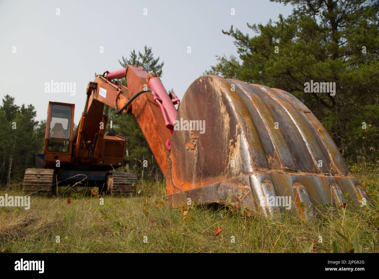 Back hoe trees hi-res stock photography and images - Alamy