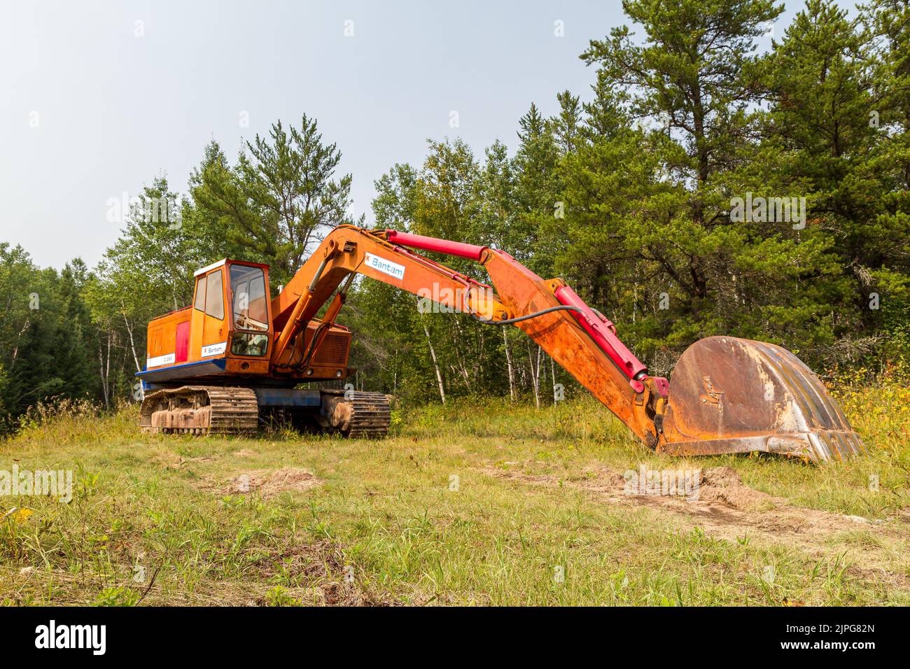 Back hoe trees hi-res stock photography and images - Alamy