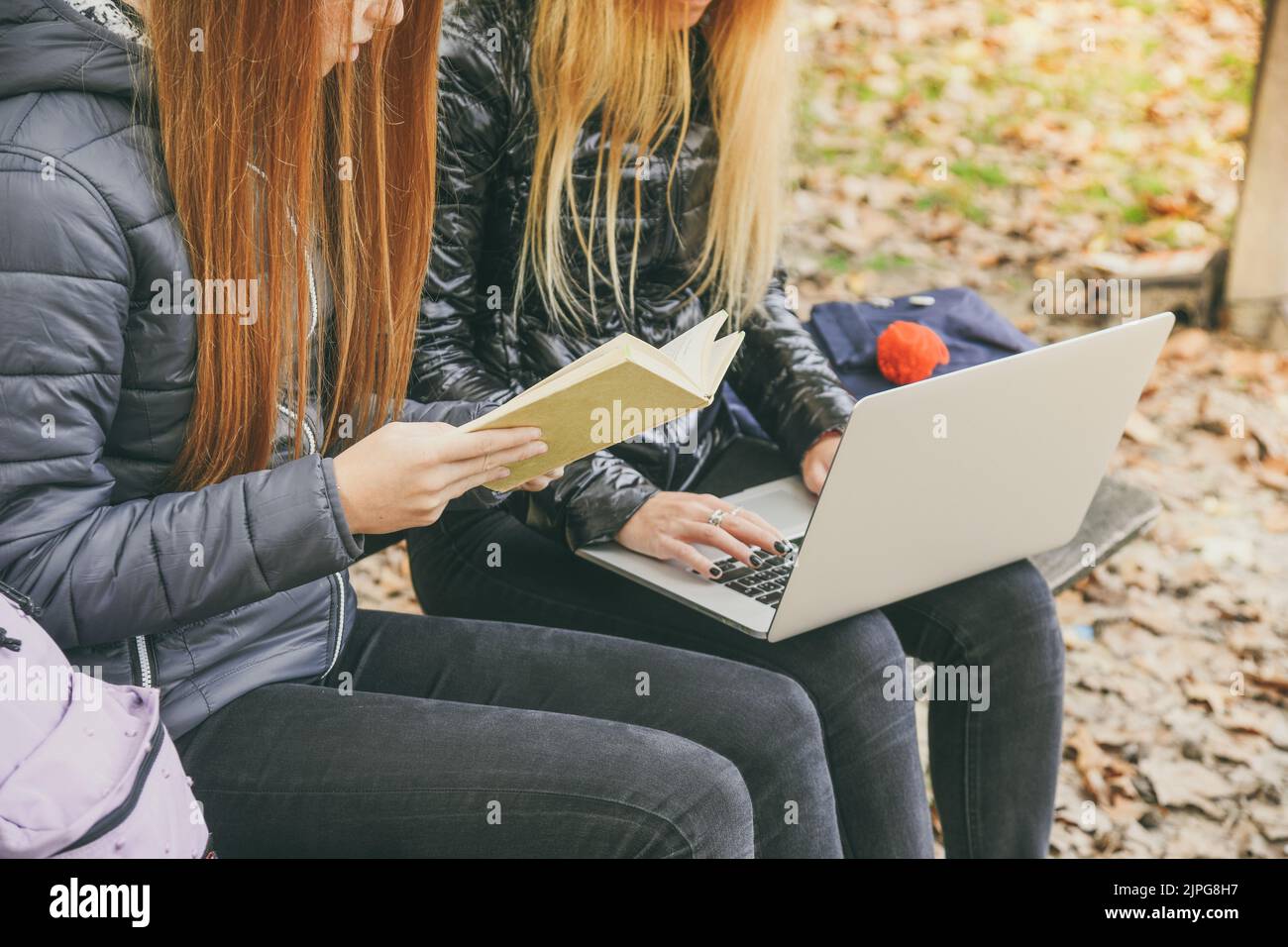 Girls study sitting on a bench in the park in a beautiful autumn ...