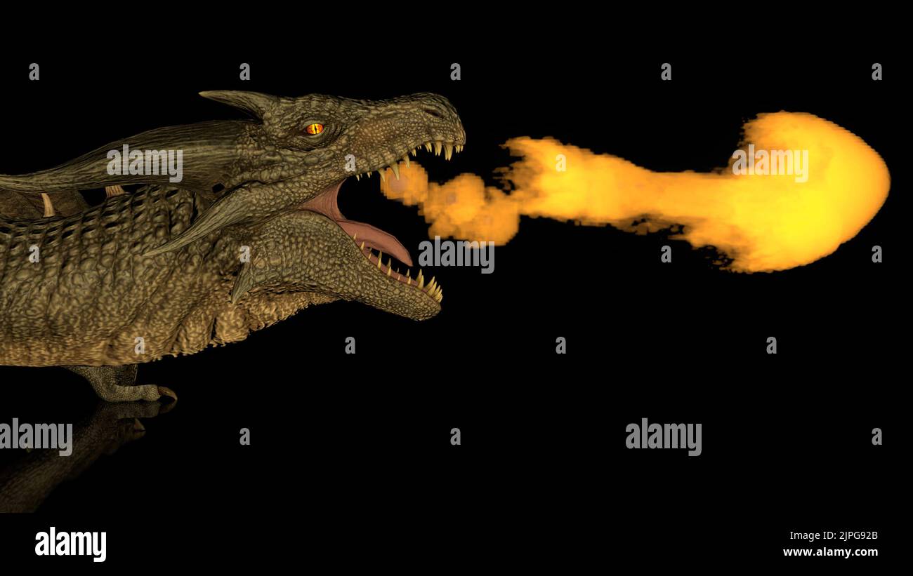 Realistic dragon breathes fire on a black background on a reflective ...