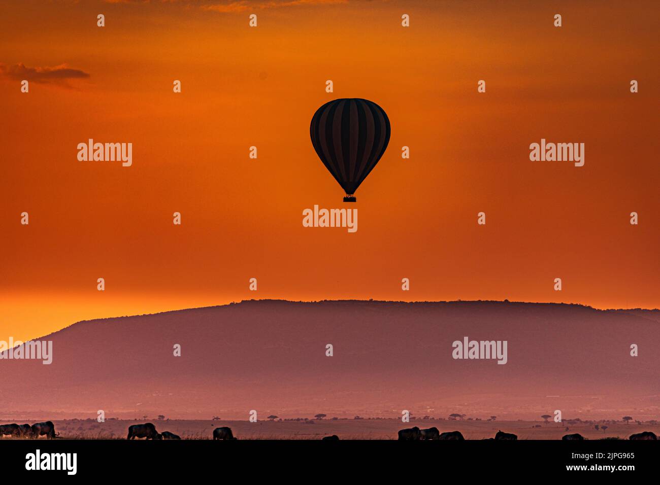 Hot Air Balloon Sunrise Sunset Dramatic Clouds Maasai Mara National ...
