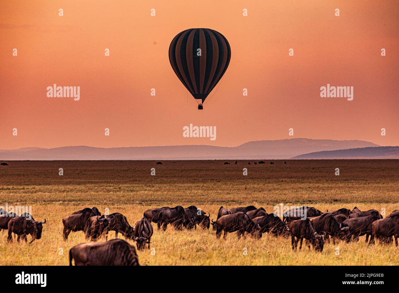 Hot Air Balloon Sunrise Sunset Dramatic Clouds Maasai Mara National ...