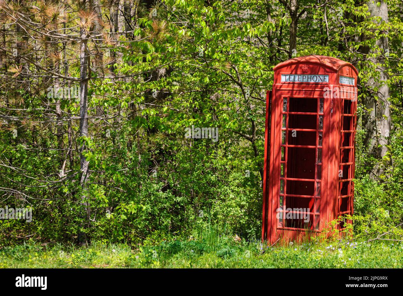 An empty British red telephone box with green trees surroundings Stock ...