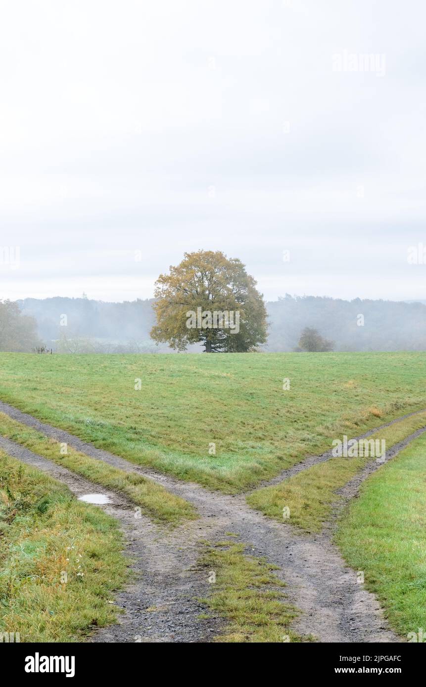 Agricultural road and crossing hiking trails in the rural countryside ...