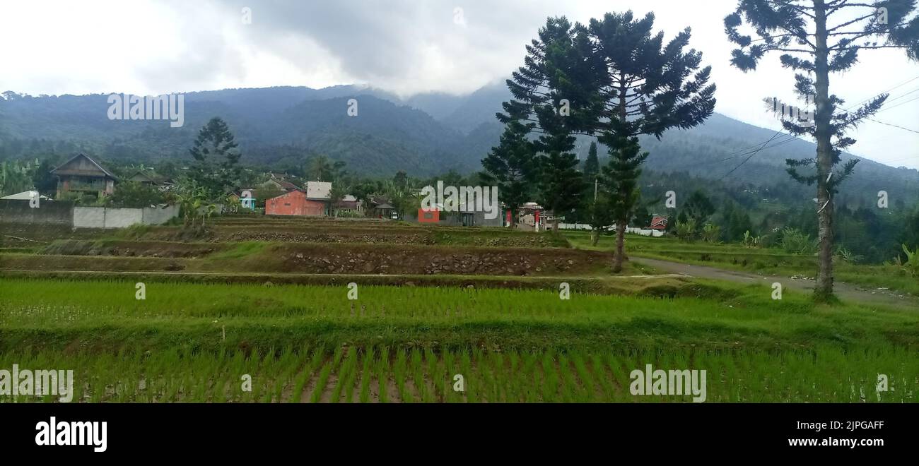 The beautiful mountain of salak at west java Stock Photo - Alamy