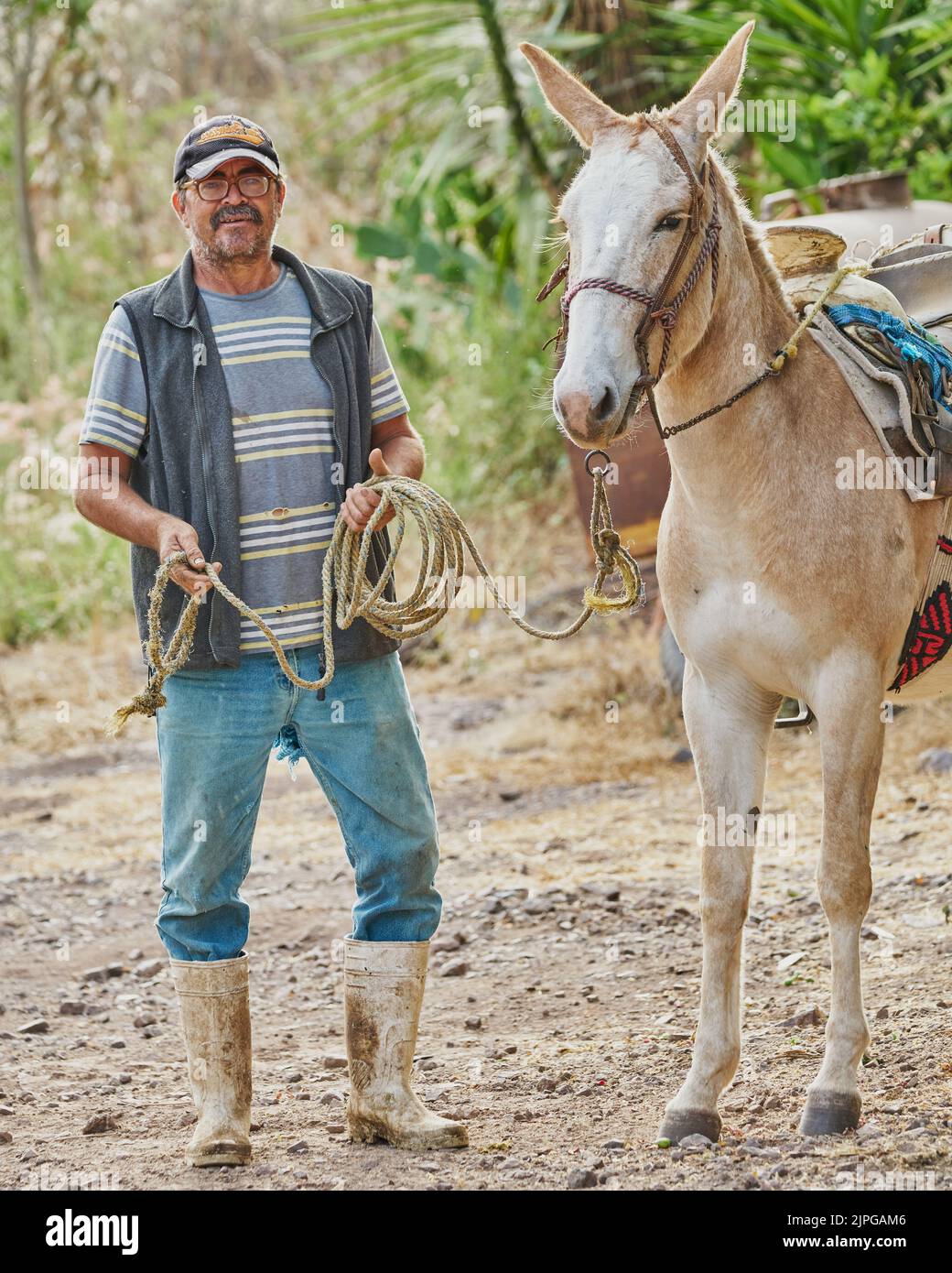 Portrait farmer man horse hi-res stock photography and images - Alamy