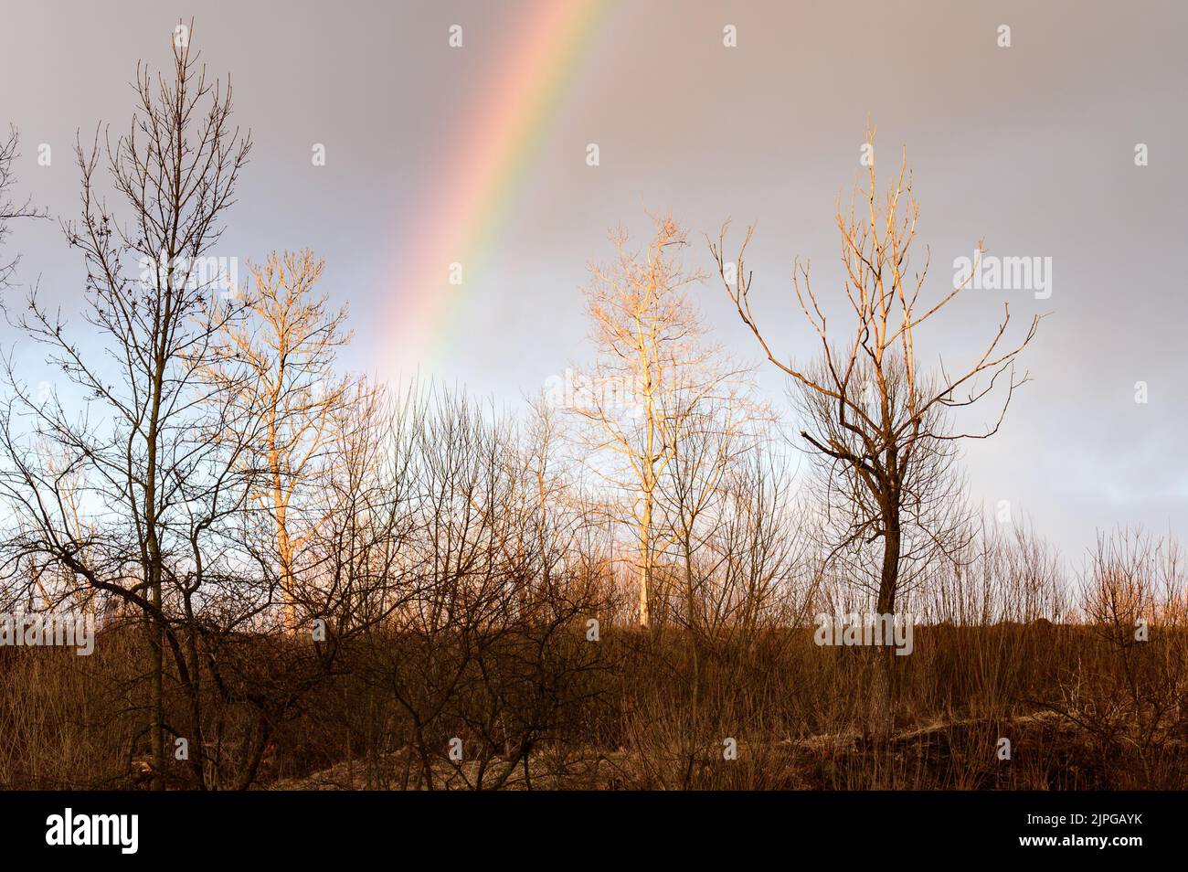 Rainbow in early spring in the Ukrainian village on a background of ...