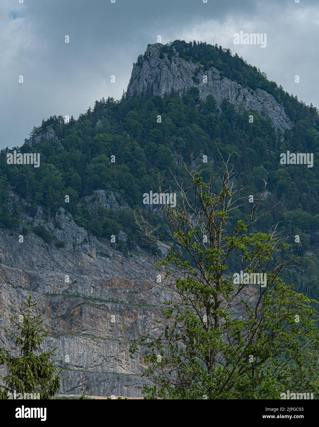 An aerial view of greenery mountains surrounded by lush trees Stock ...