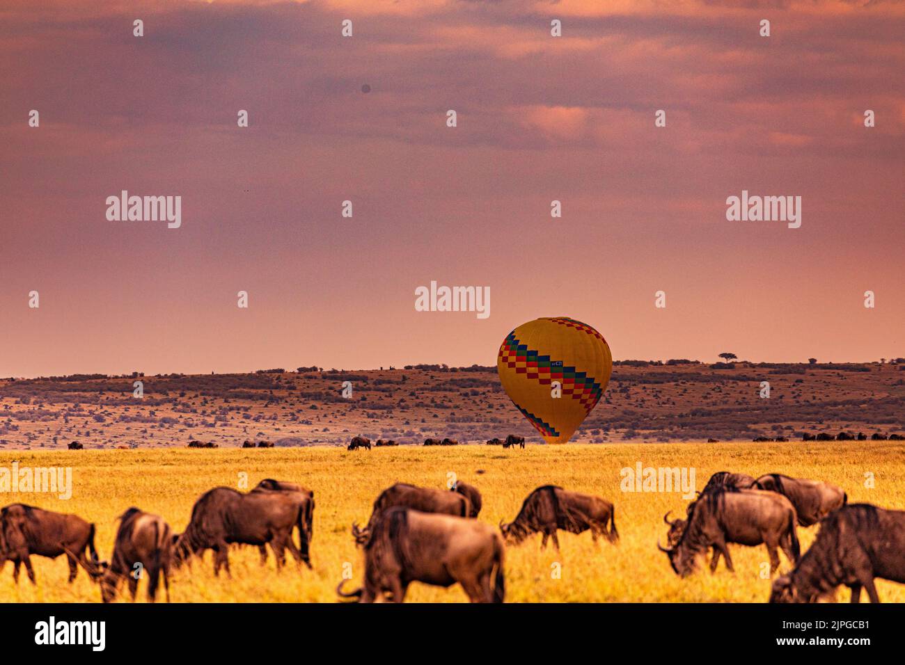 Hot Air Balloon Sunrise Sunset Dramatic Clouds Maasai Mara National ...