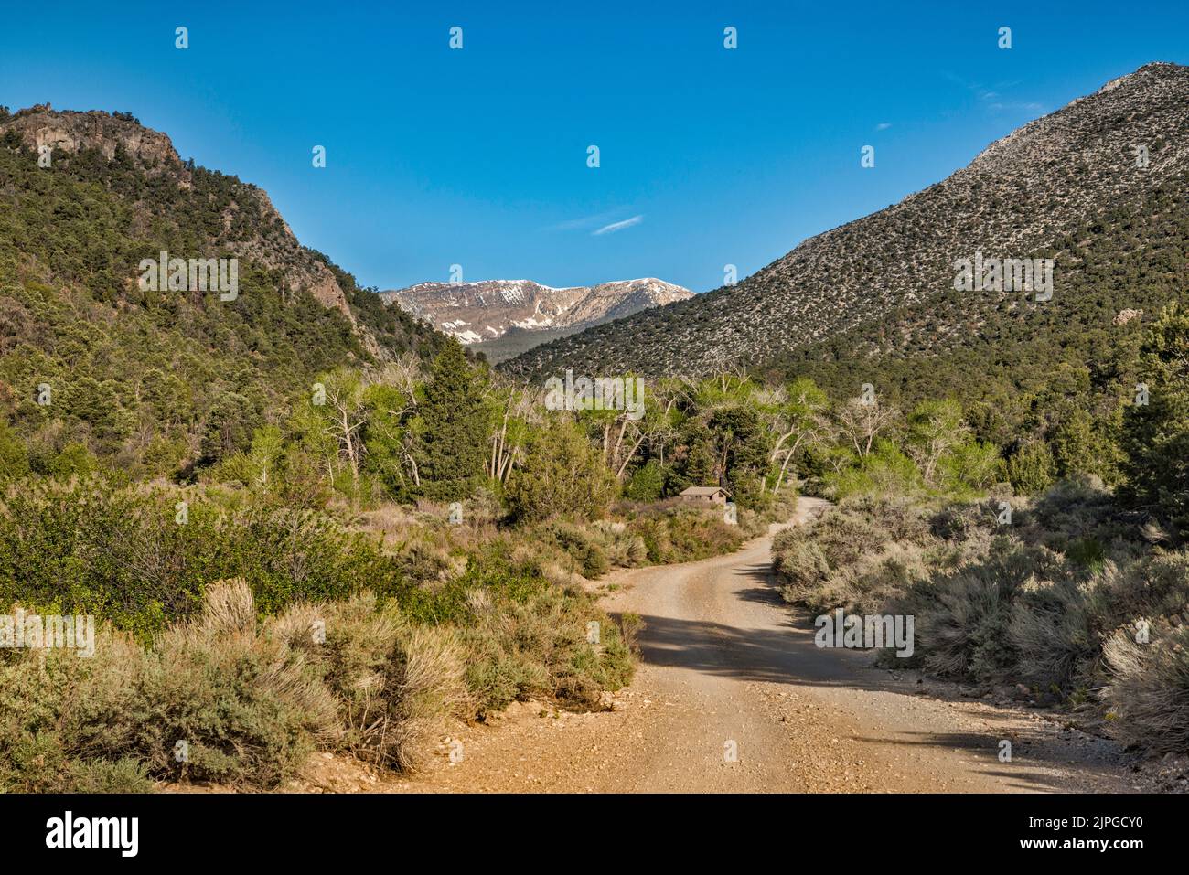 Snake Creek Road, Snake Range in distance, Great Basin National Park ...
