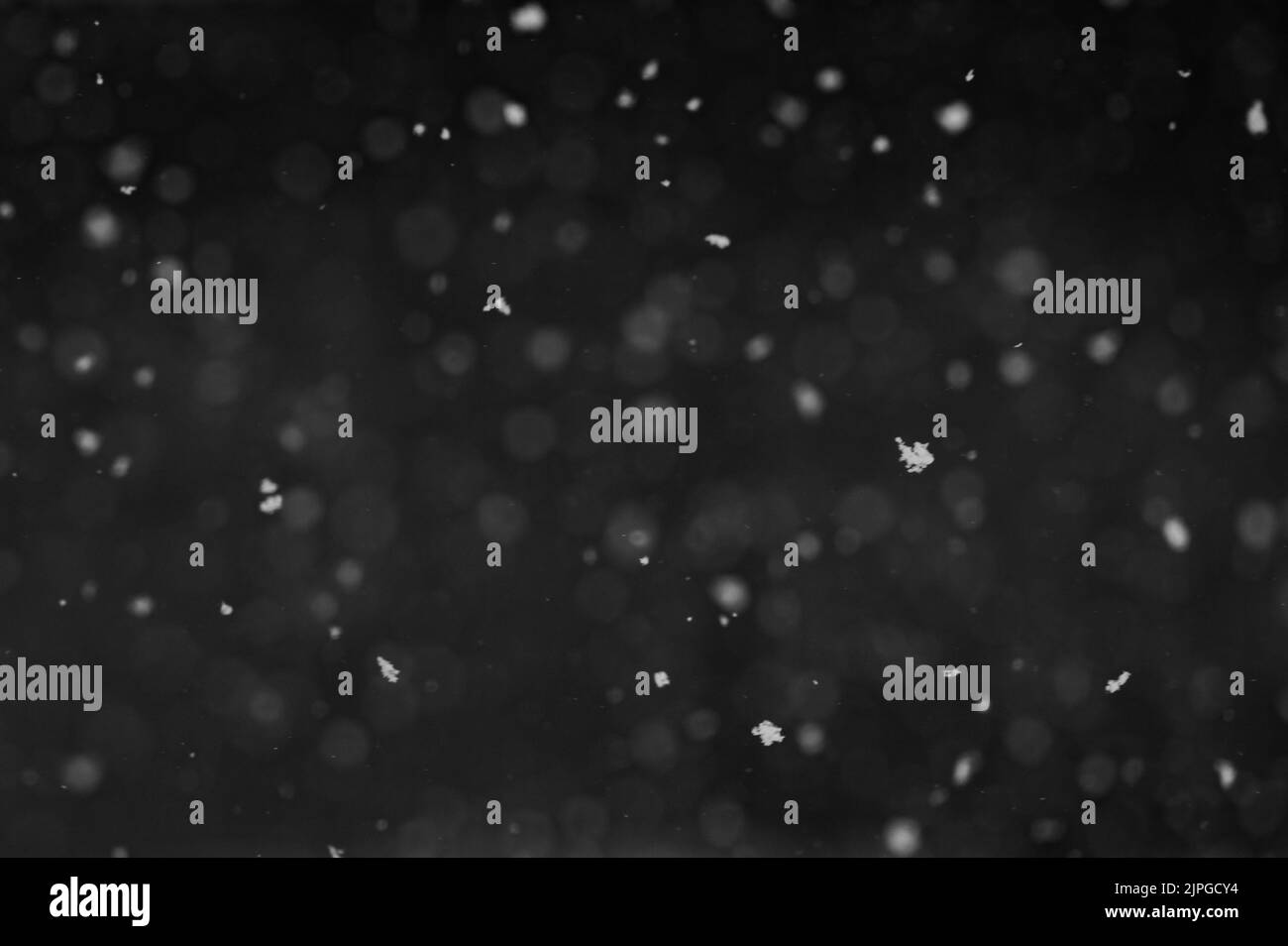 Falling snowflakes on night sky background, isolated for post ...