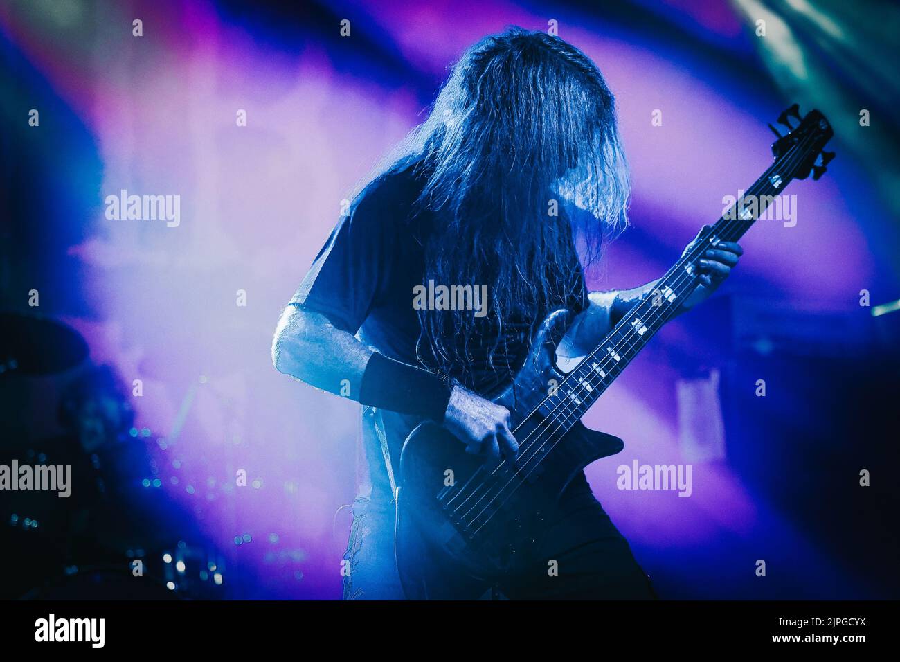 Alex Webster Cannibal Alison