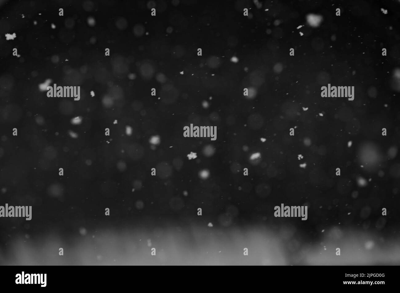 Bokeh of white snow on a black background. Snowfall - new design ...
