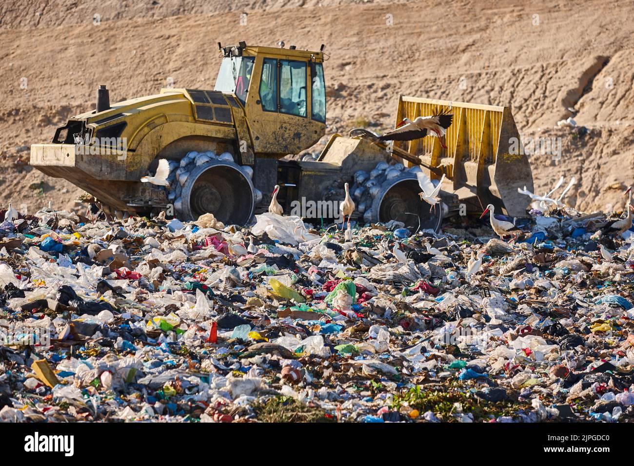 Heavy machinery shredding garbage in an open air landfill. Waste Stock ...