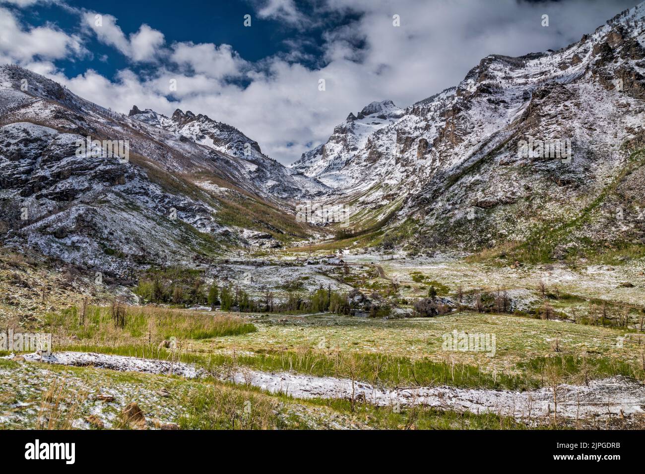 Montane forest life zone hi-res stock photography and images - Alamy