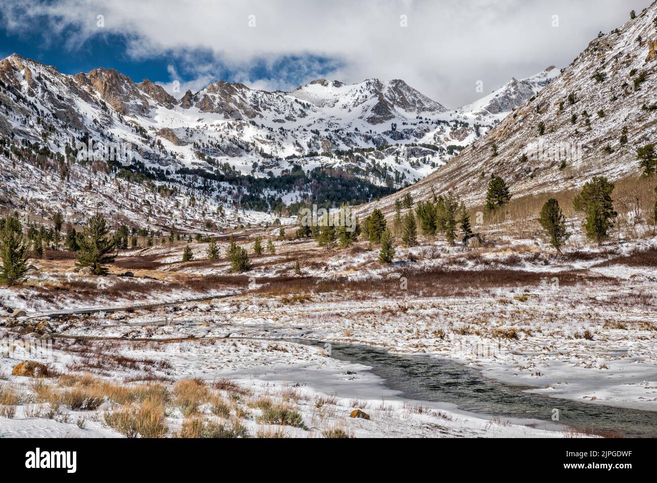 Alpine zone white mountains hi-res stock photography and images - Alamy