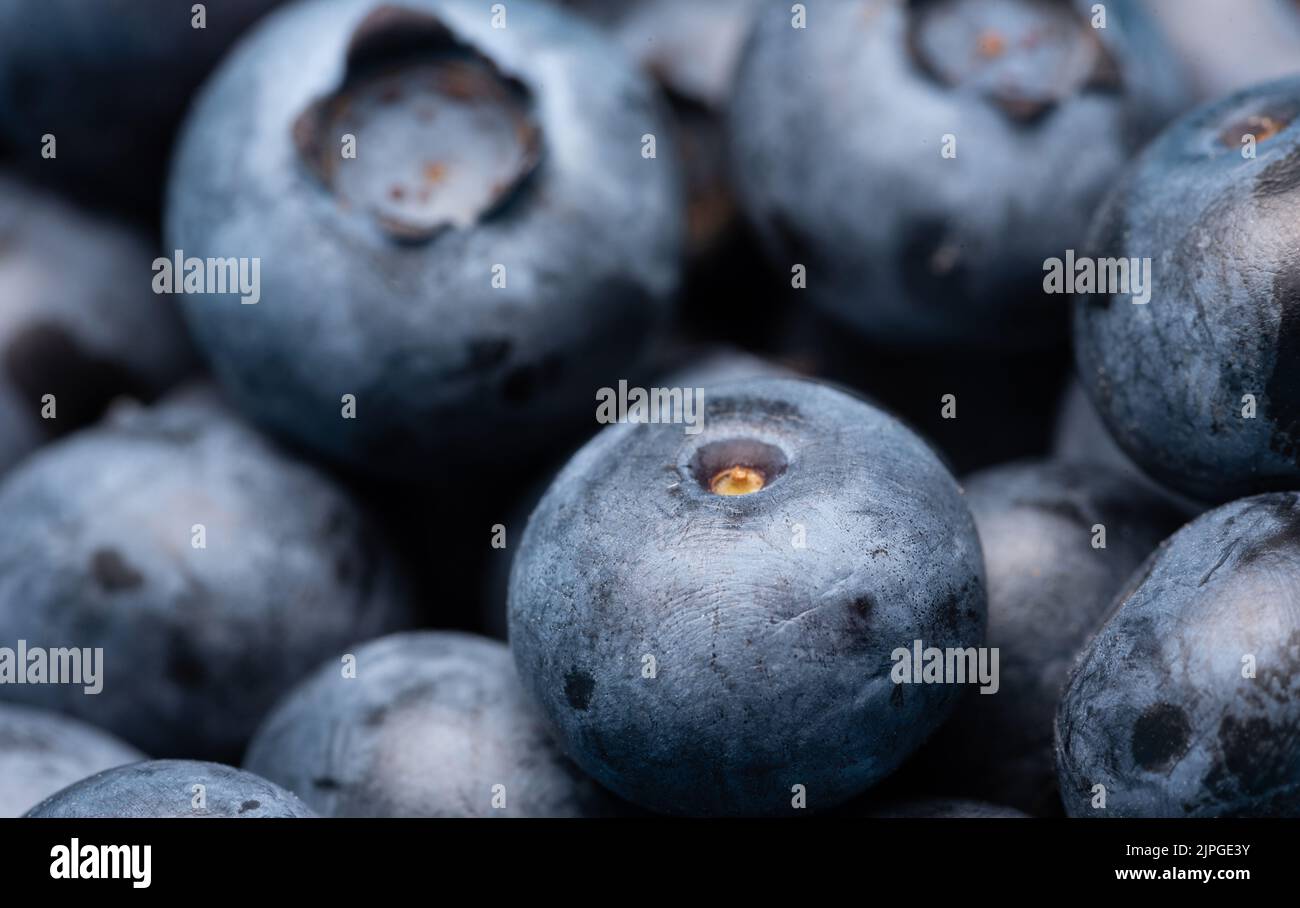 Blueberry fruit in close-up. Ripe fruit, blueberry berries isolated ...