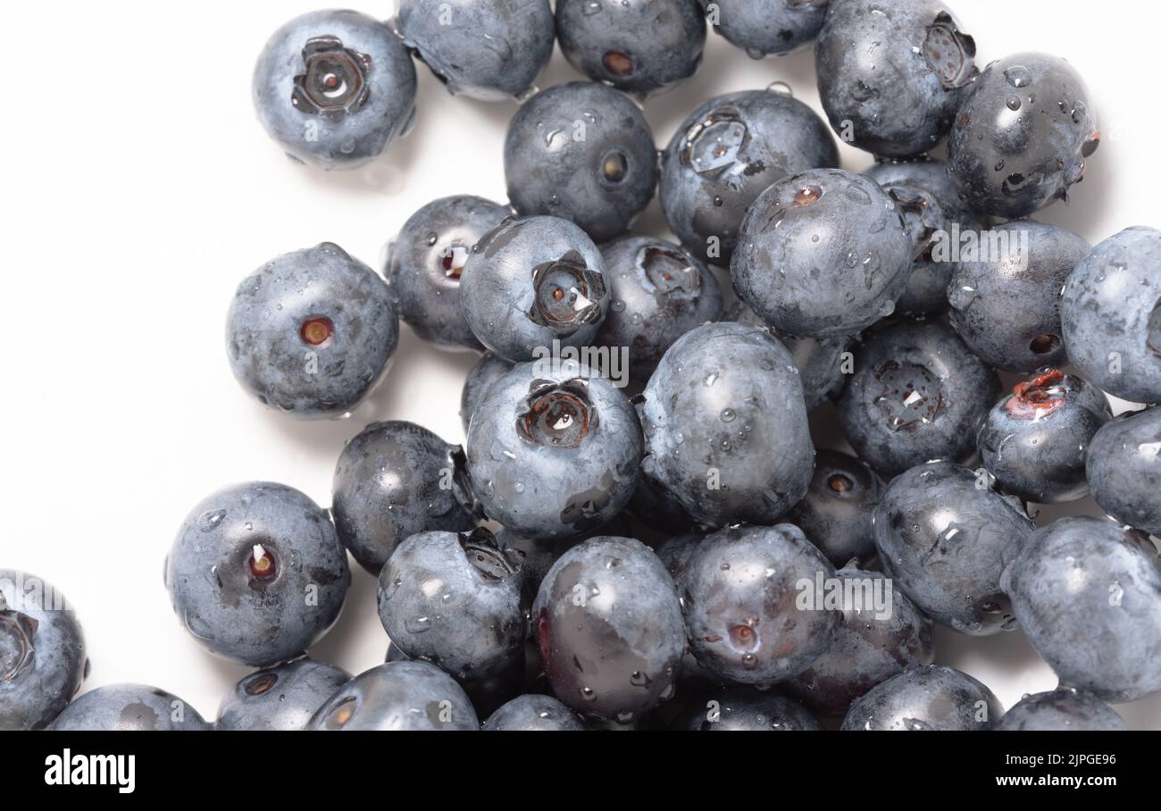 Blueberry fruit in close-up. Ripe fruit, blueberry berries isolated ...