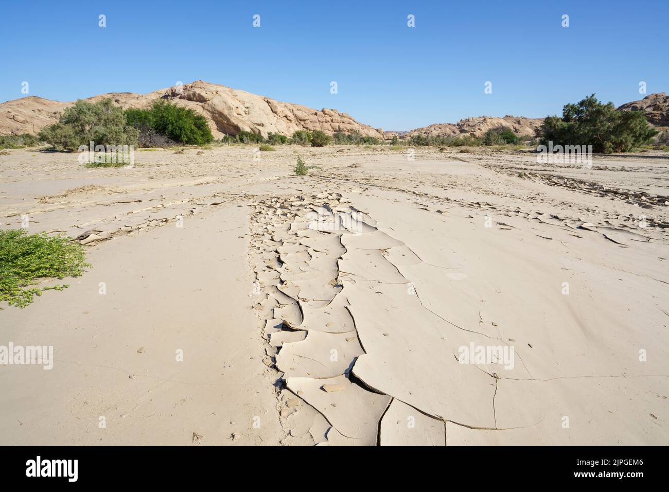 Dry river bed scenery of dried mud as patterns on the ground with tree ...