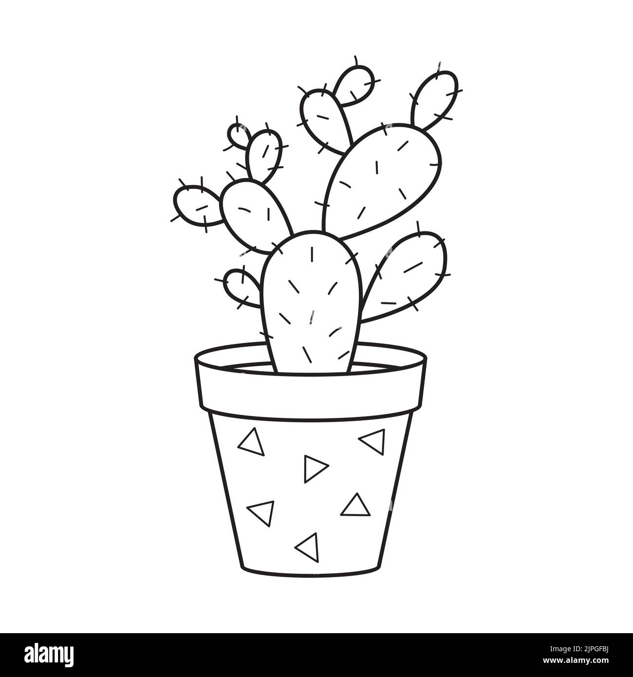 Vector outline cactus in pot. Indoor succulent plant with thorns. Cacti ...