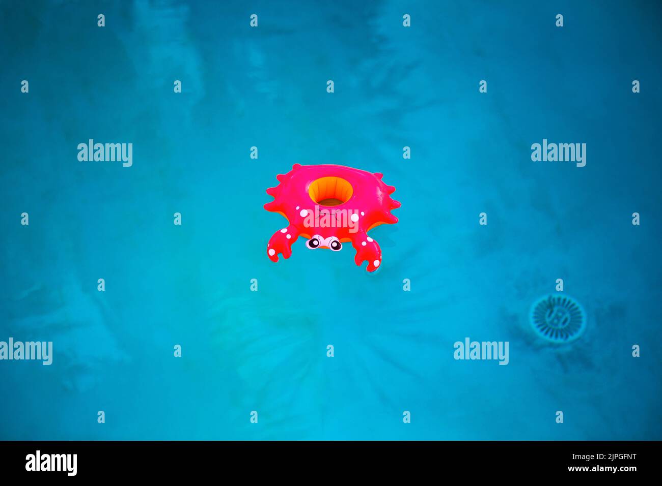 crab, pool, swim ring, crabs, pools, wooden post, inflatable ring, swim ...