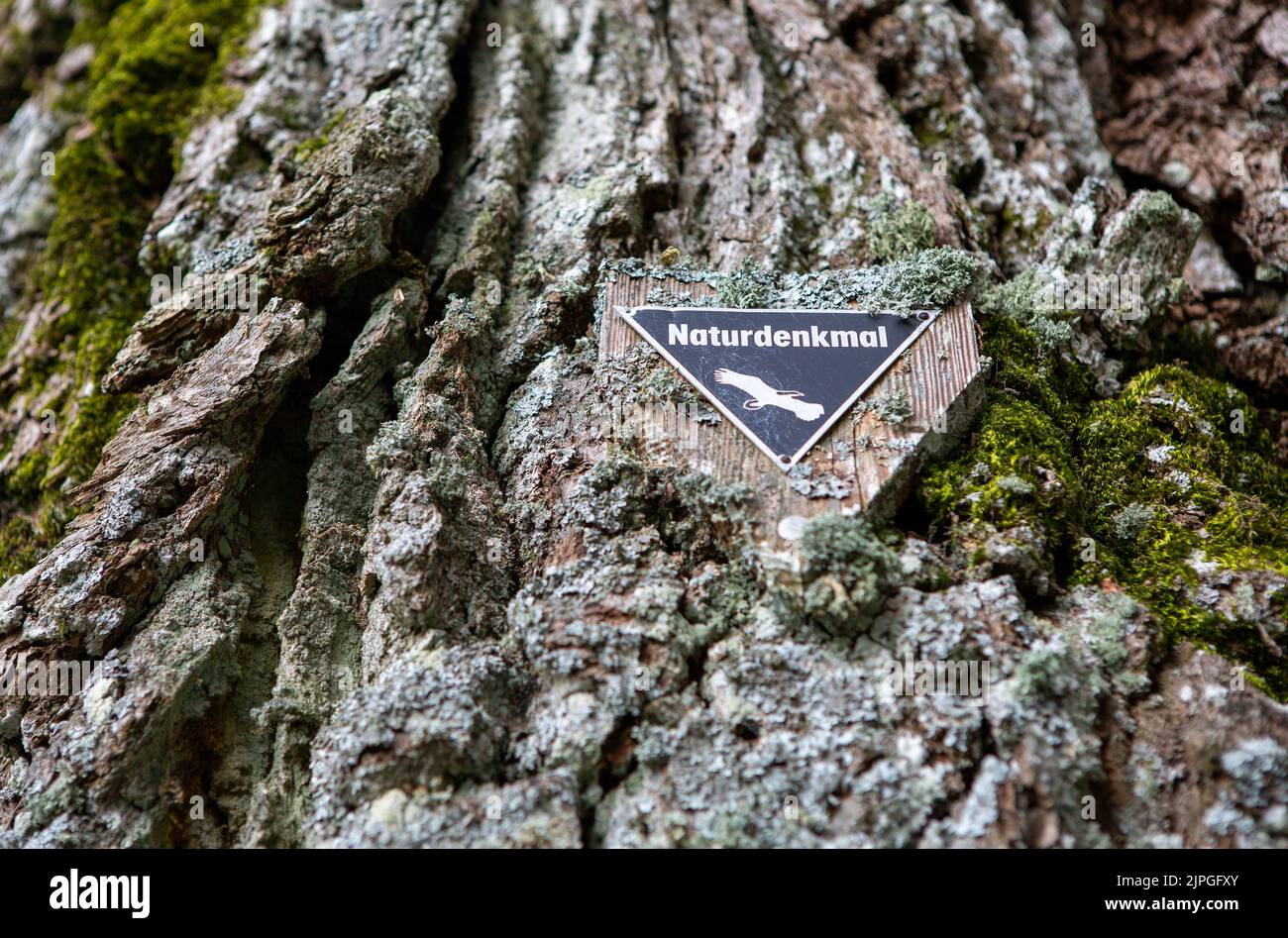 natural monument, natural monuments Stock Photo - Alamy