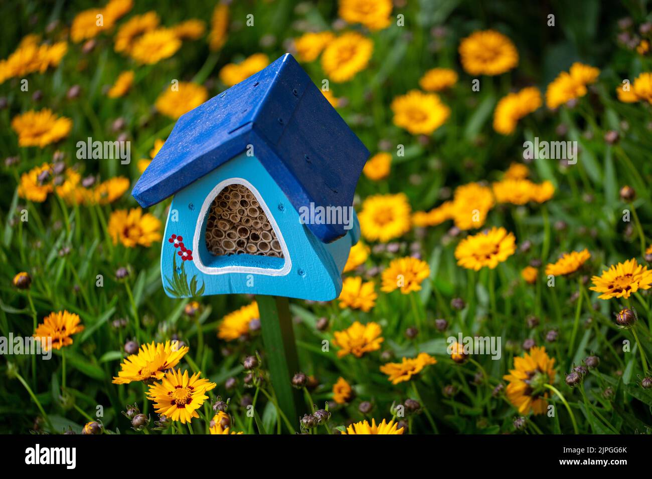 insect house, insect hotel, insect houses, insect hotels Stock Photo ...
