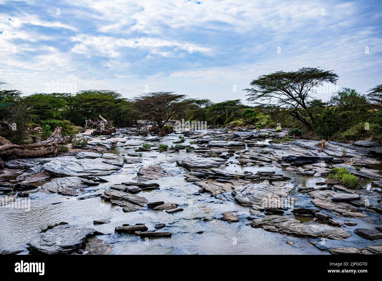 Talek River in Maasai Mara is one of the seasonal rivers that drain the ...