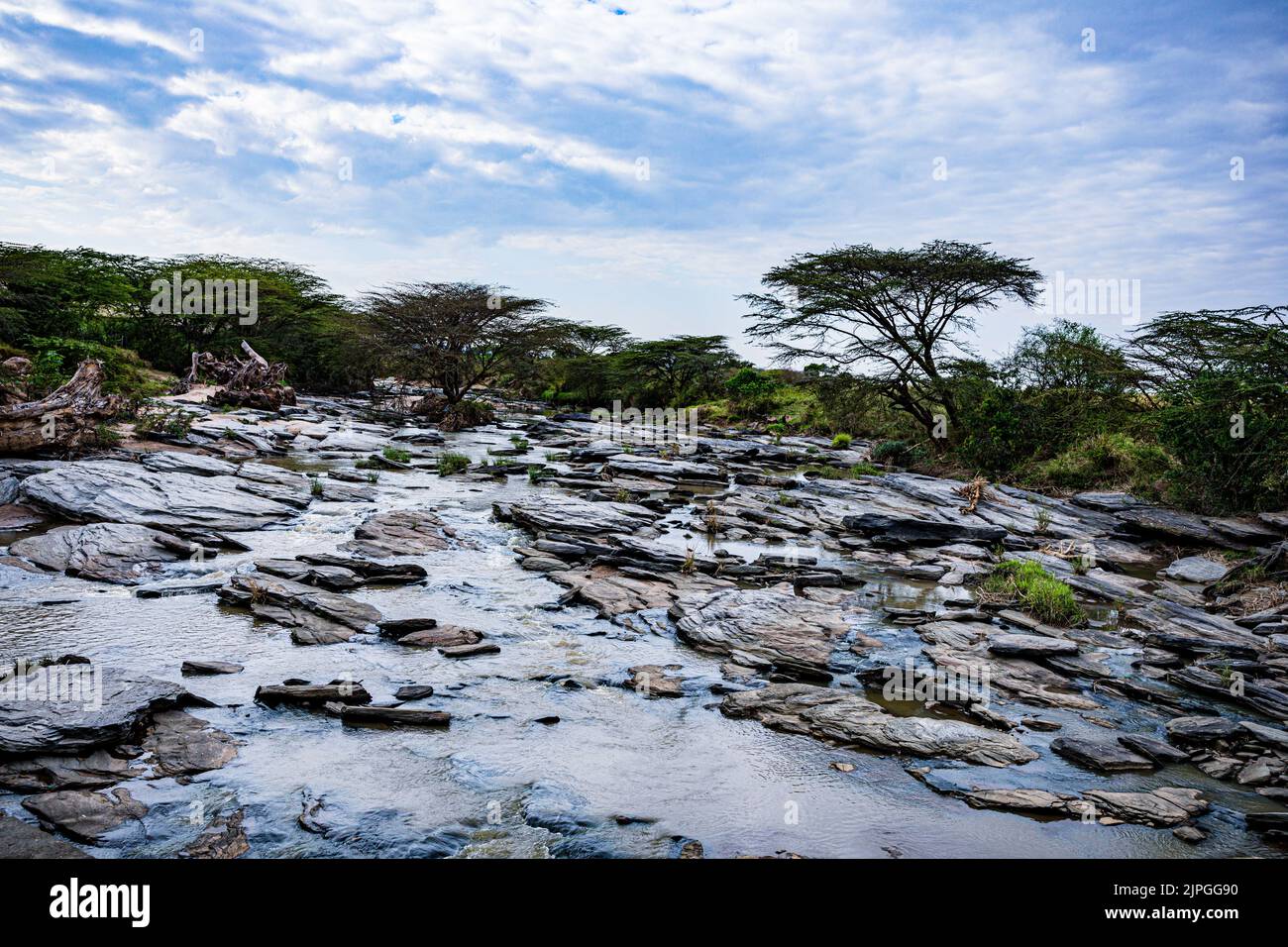 Talek River in Maasai Mara is one of the seasonal rivers that drain the ...